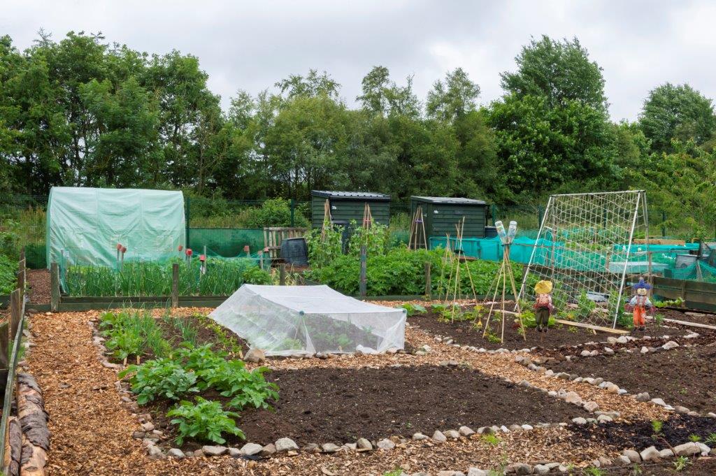 Decision Tree | Aberdeen Compost